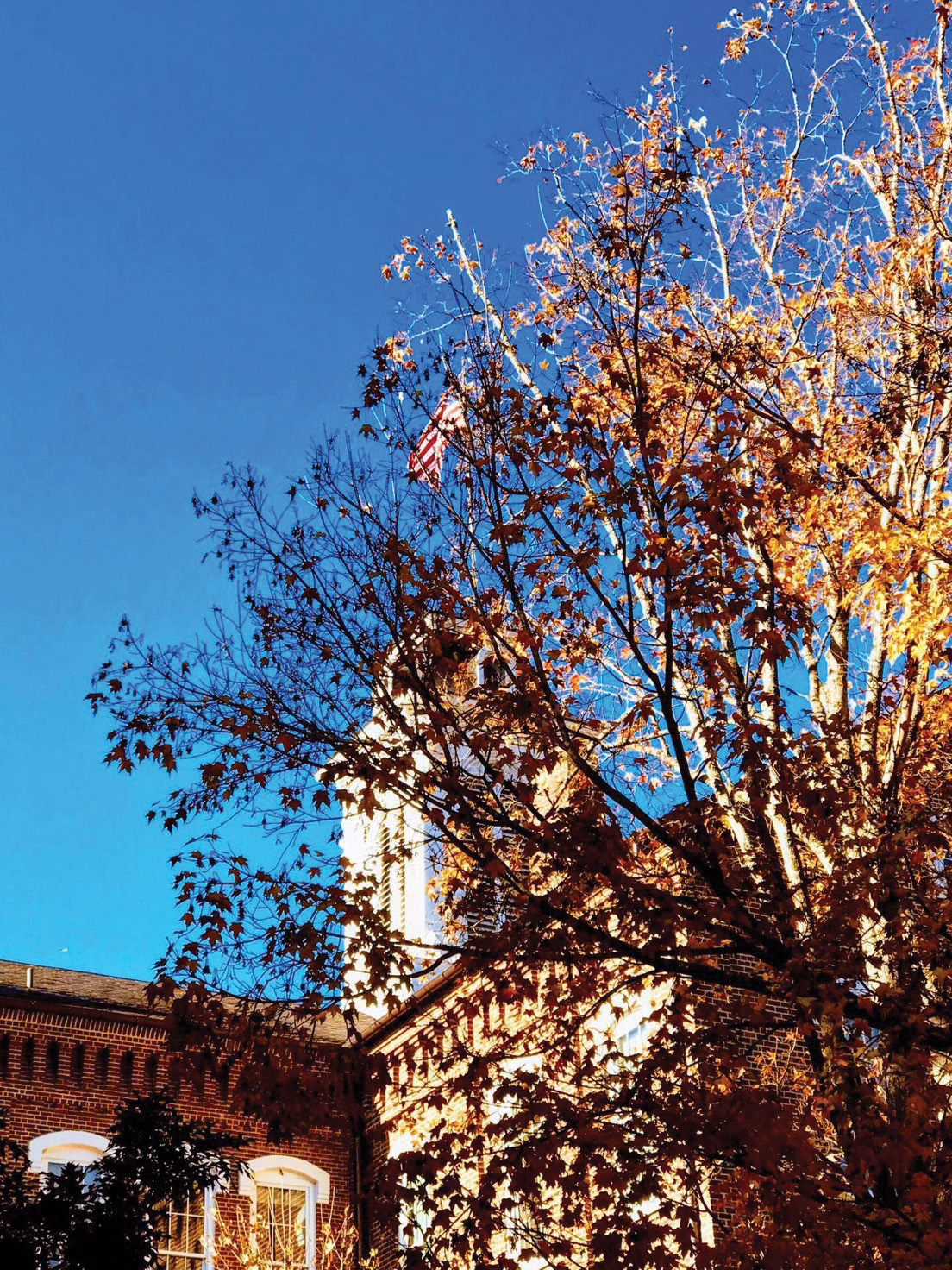Fall colors abound around campus - The Highland Echo