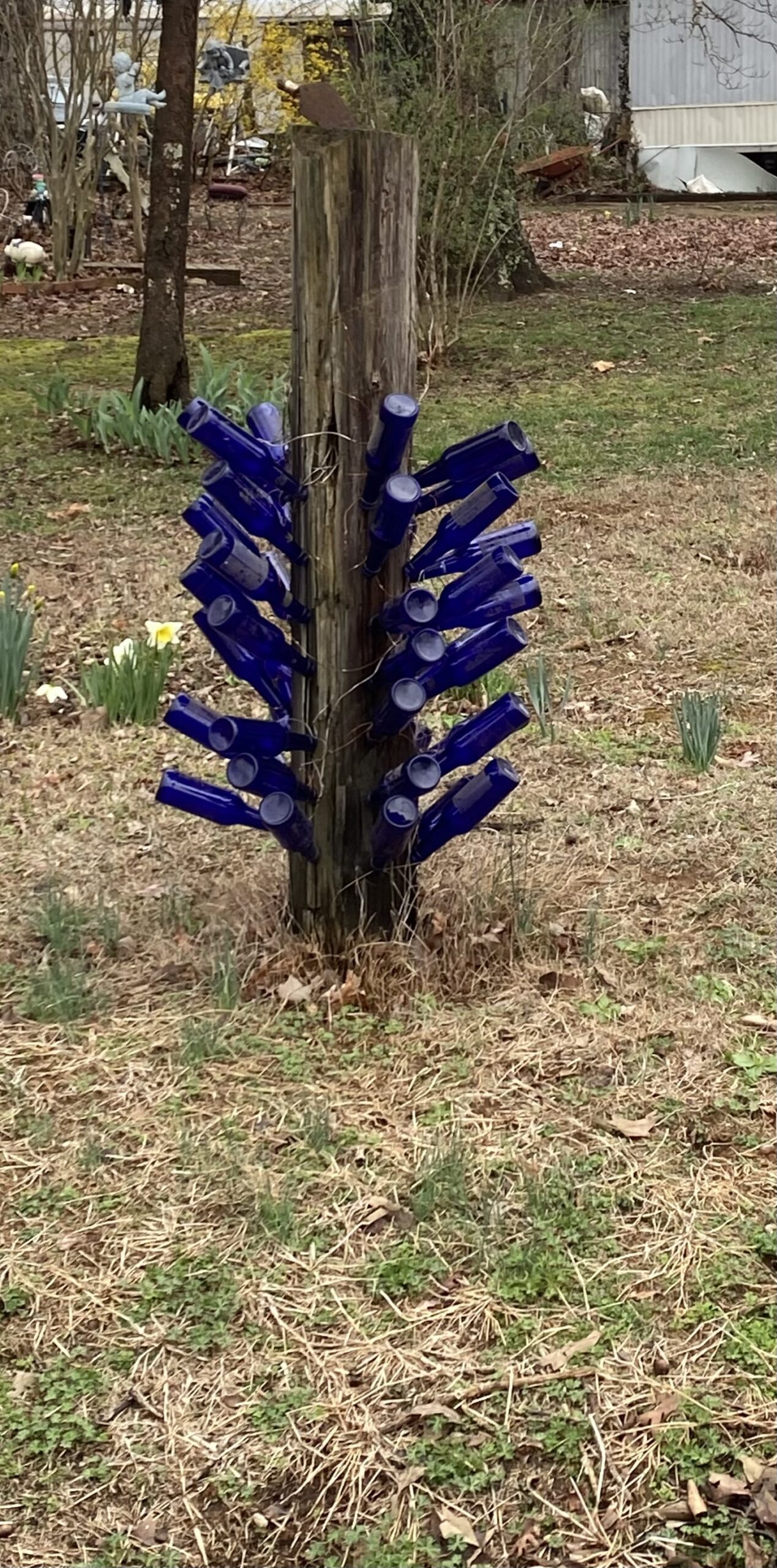 Local Legends: Bottle Trees - The Highland Echo